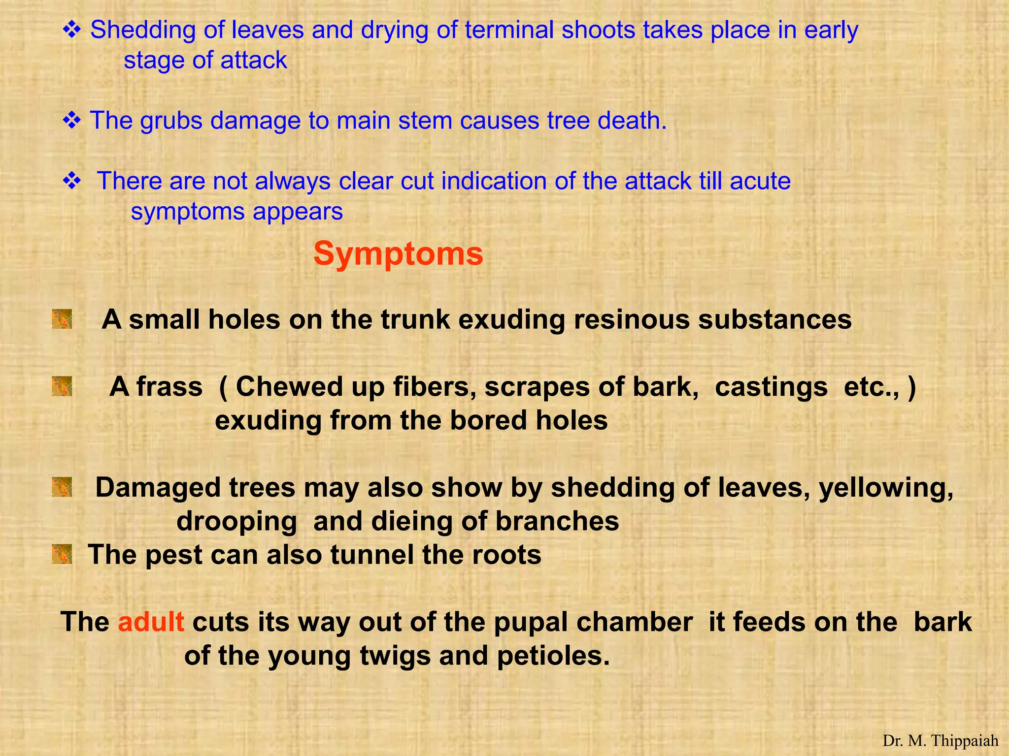 Insect pests of mango | PDF