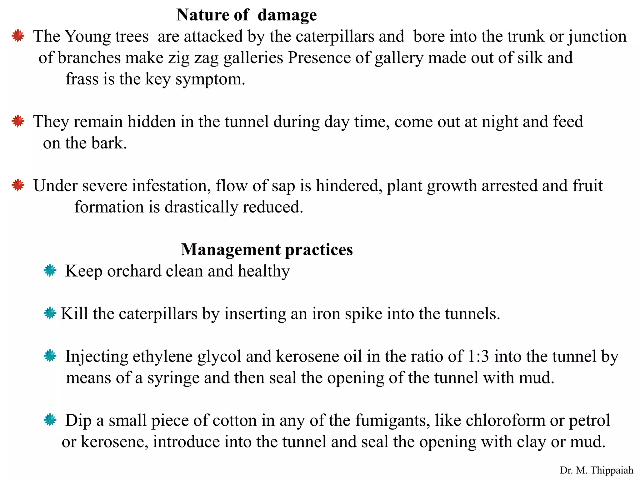Insect pests of mango | PDF