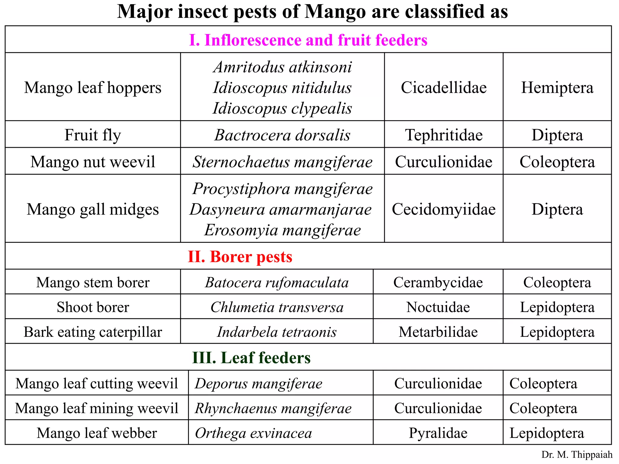 Insect pests of mango | PDF