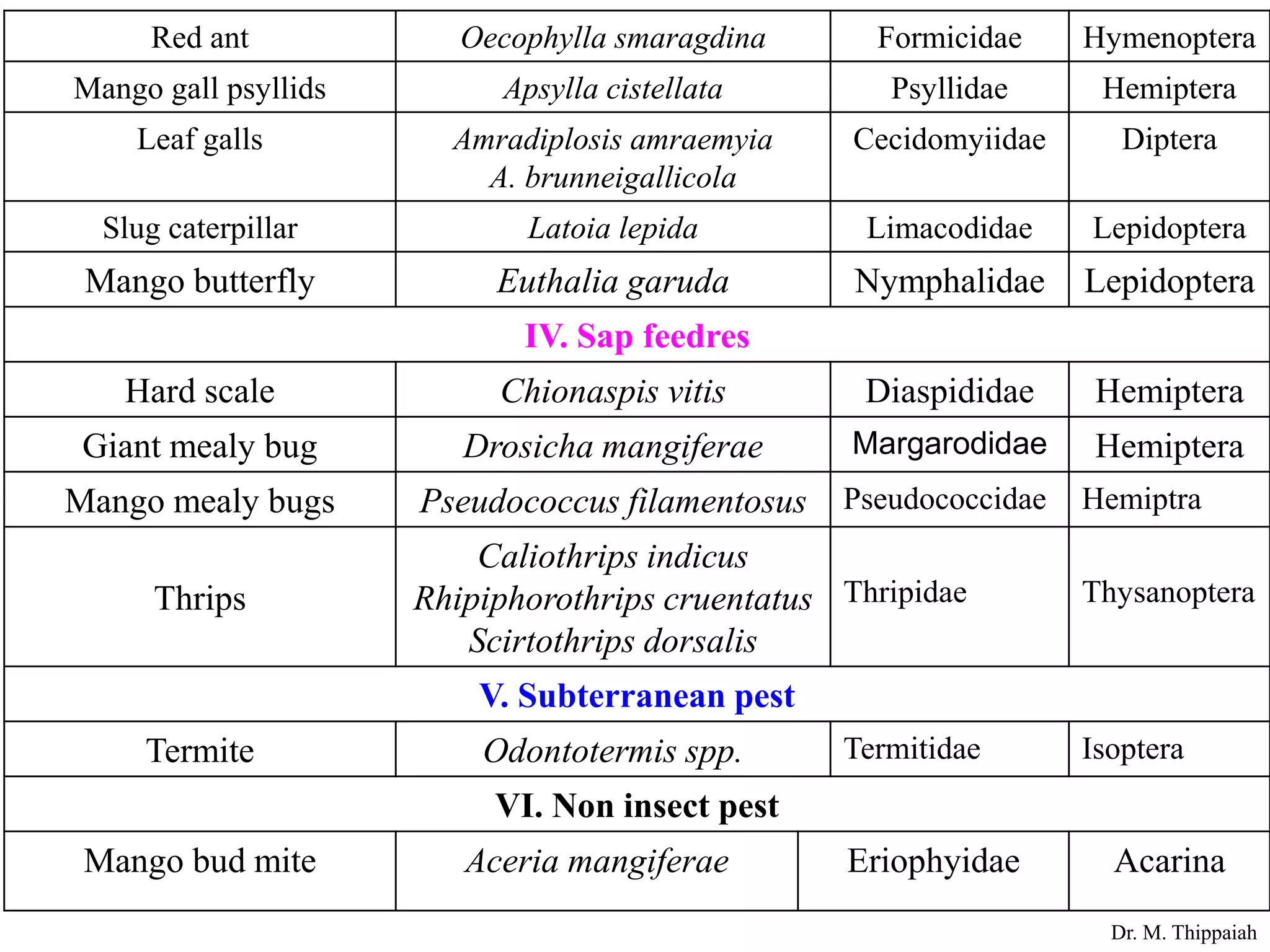 Insect pests of mango | PDF