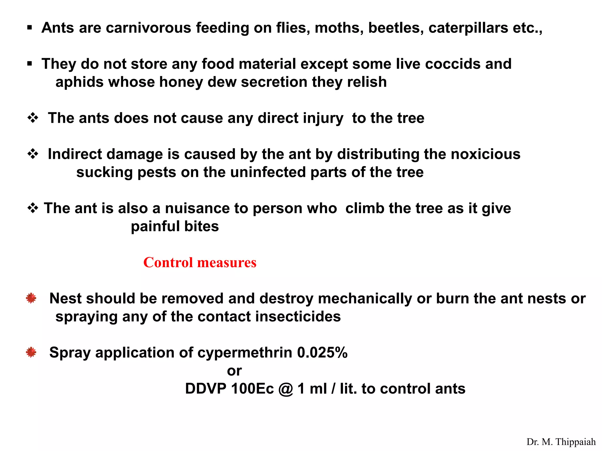 Insect pests of mango | PDF