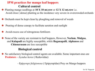 Insect pests of mango | PDF