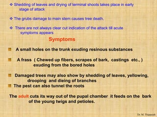 Insect pests of mango | PDF