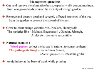 Insect pests of mango | PDF