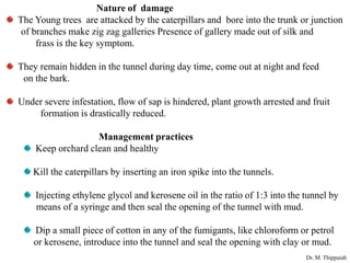 Insect pests of mango | PDF