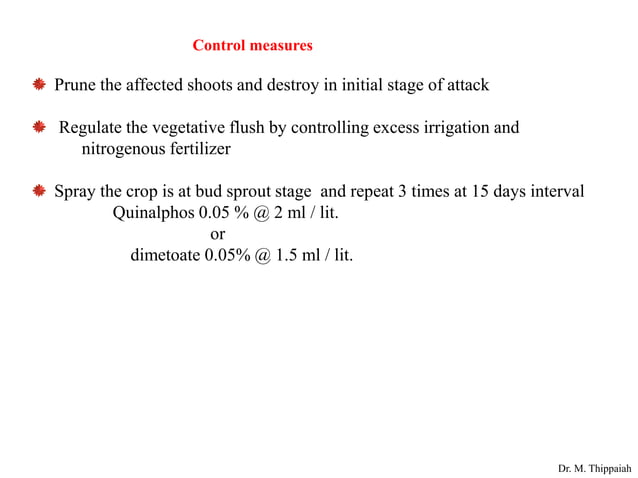 Insect pests of mango | PPT