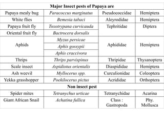 Insect pests of papaya and management practices | PPTX