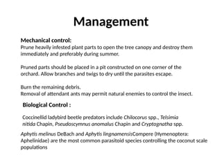 Insect pests of papaya and management practices | PPTX