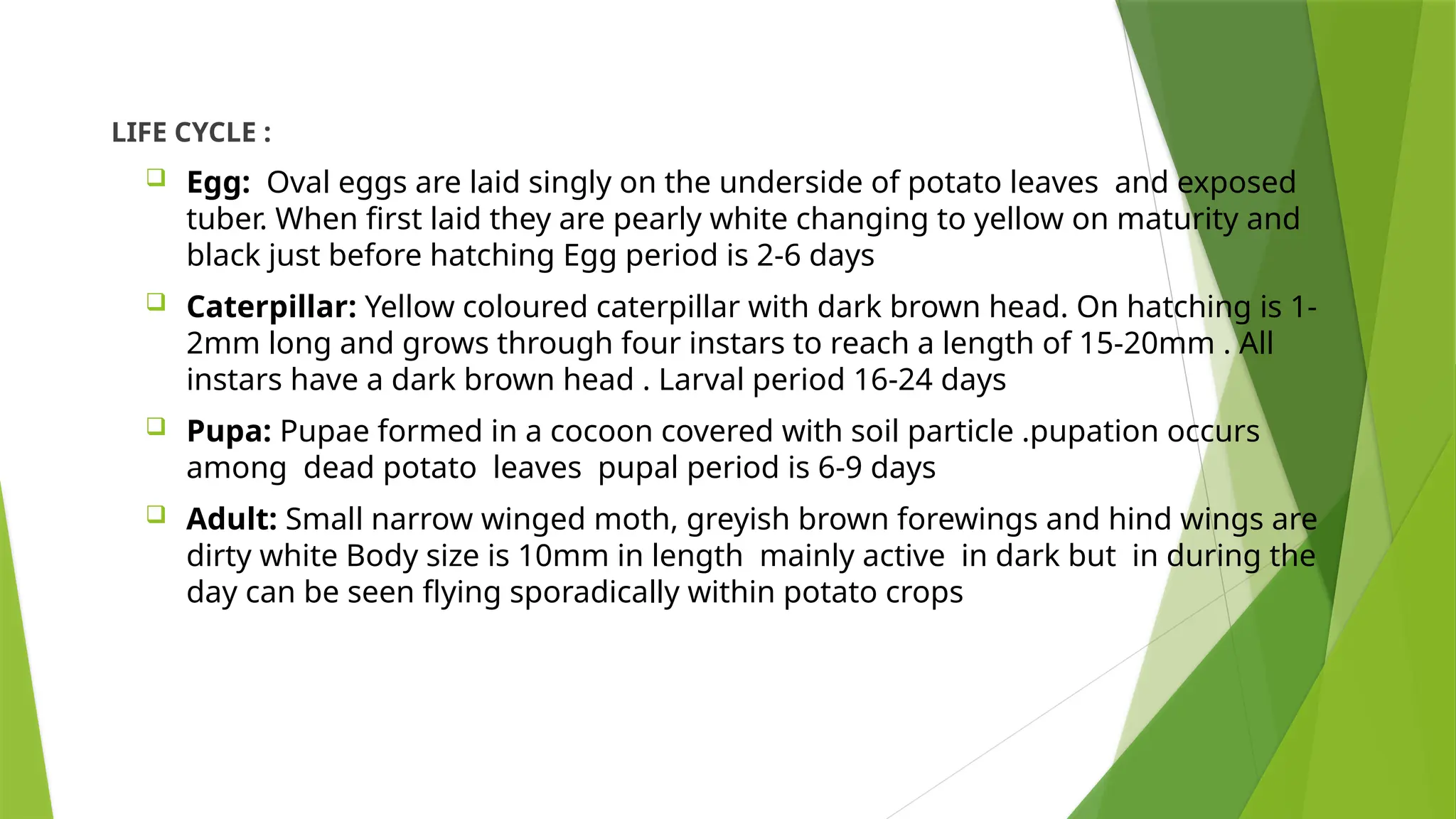 INSECT PESTS OF POTATO CROP AND THEIR MANAGEMENT | PPTX | Gardening ...