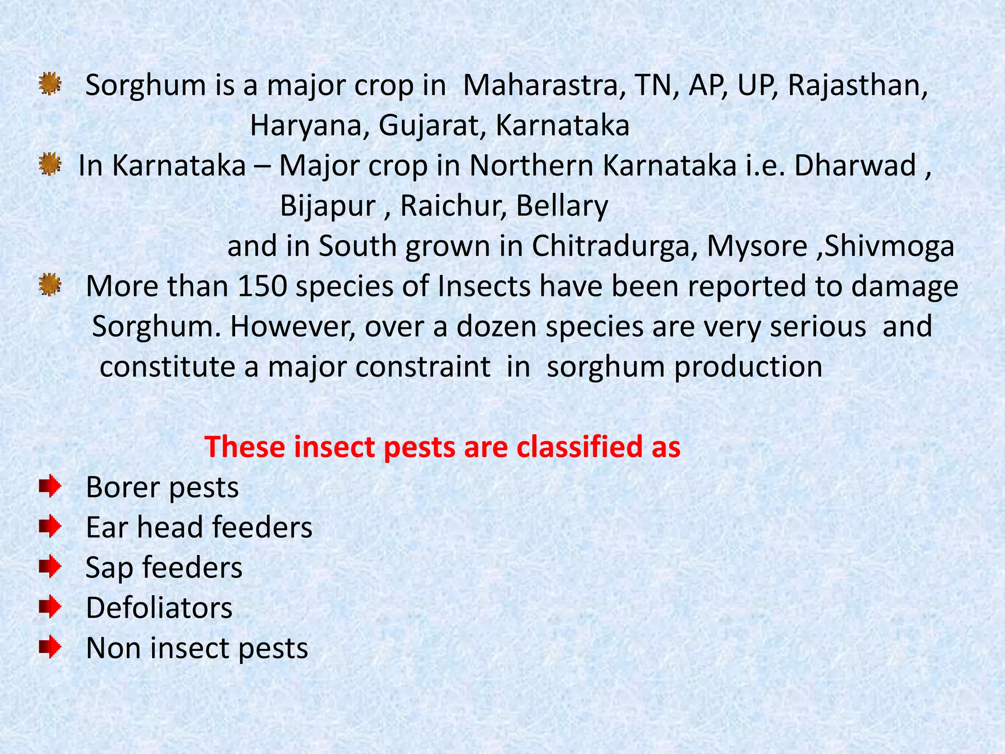 Insect pests of sorghum | PPTX