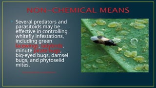 insect pests of soyabean and their management | PPTX