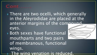 Insect pests of soyabean and their management | PPTX