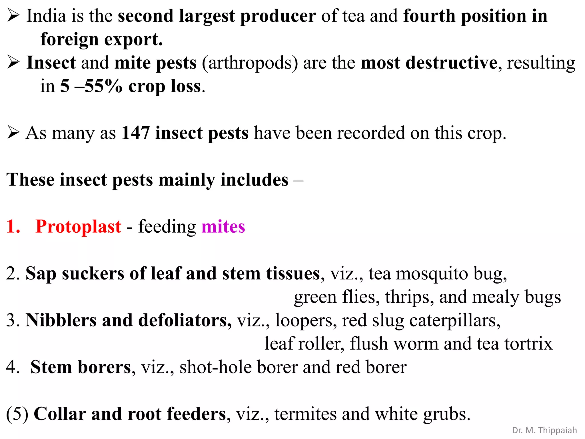 Insect pests of tea | PDF