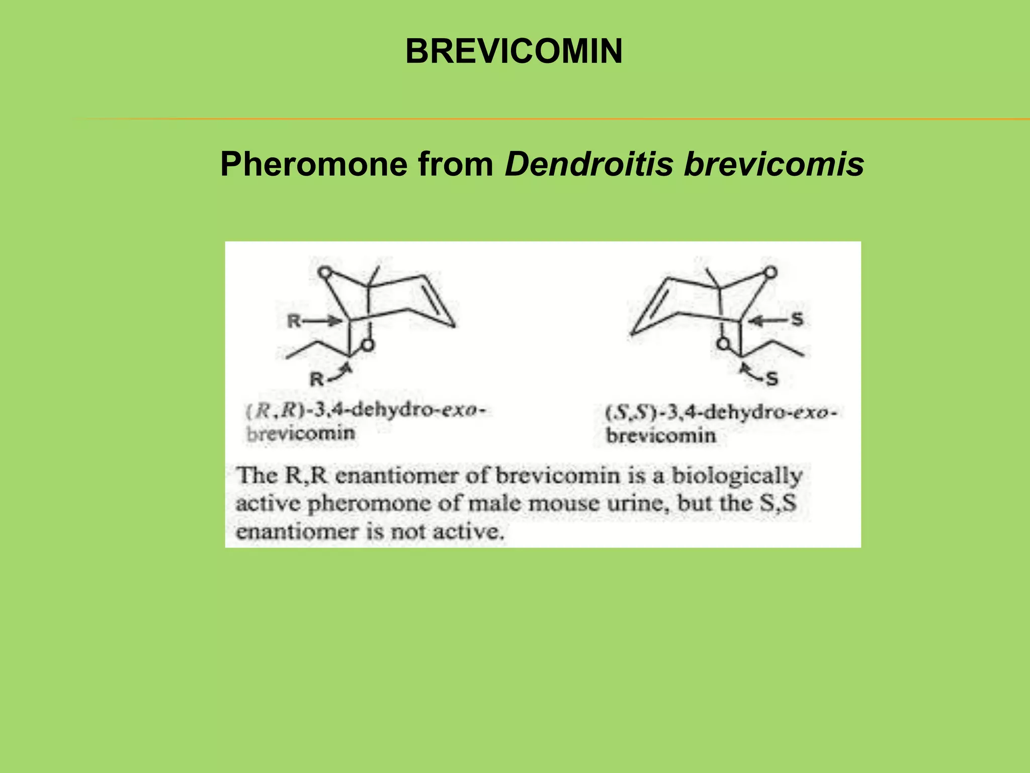 Insect Pheromones | PPTX