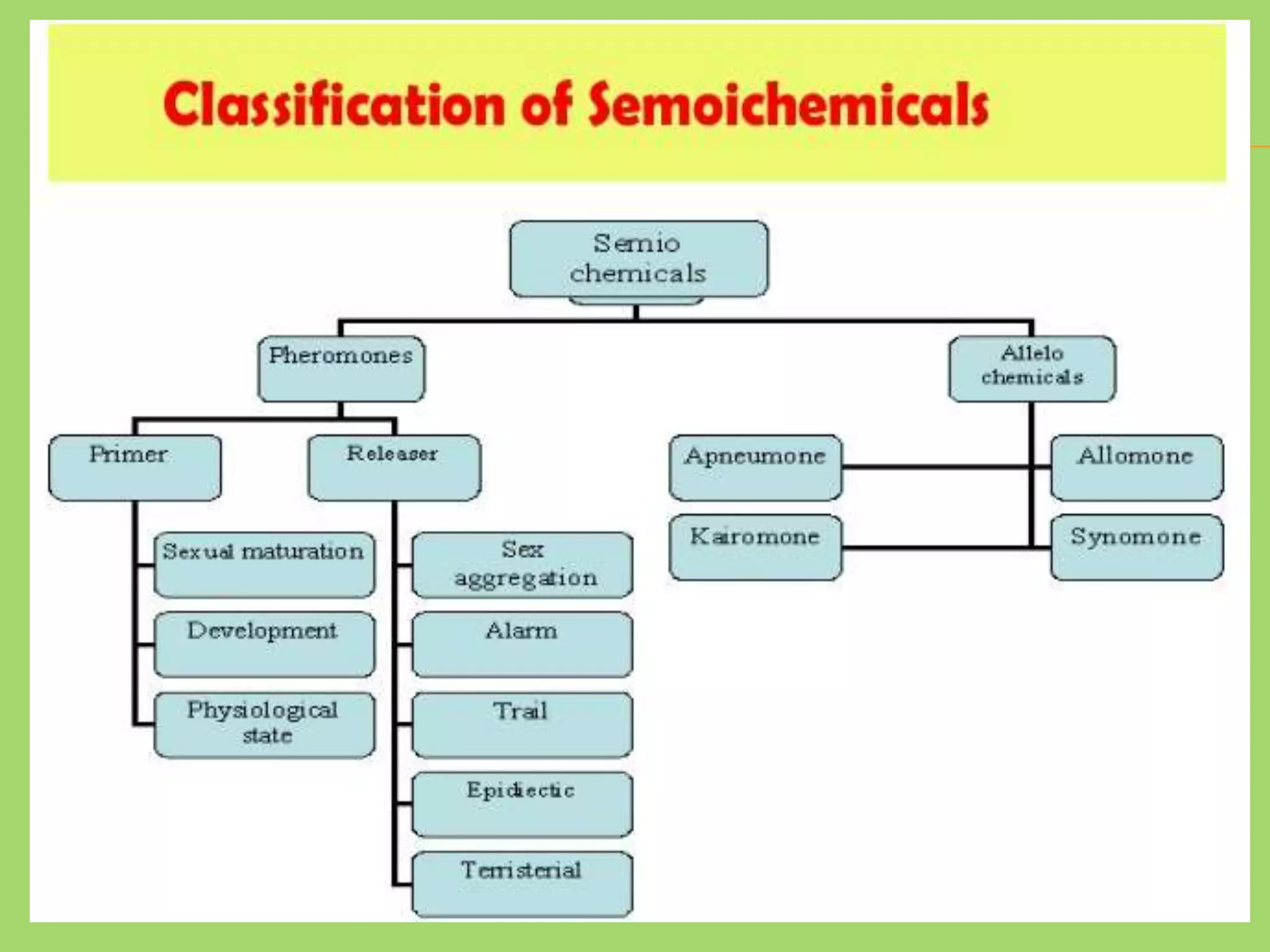 Insect Pheromones | PPTX
