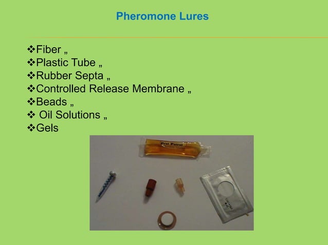 Insect Pheromones | PPTX | Beekeeping | Hobbies & Interests