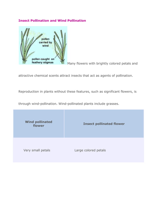 Insect pollination and wind pollination | DOCX