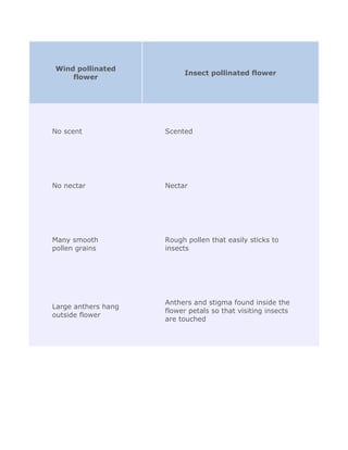 Insect pollination and wind pollination | DOCX