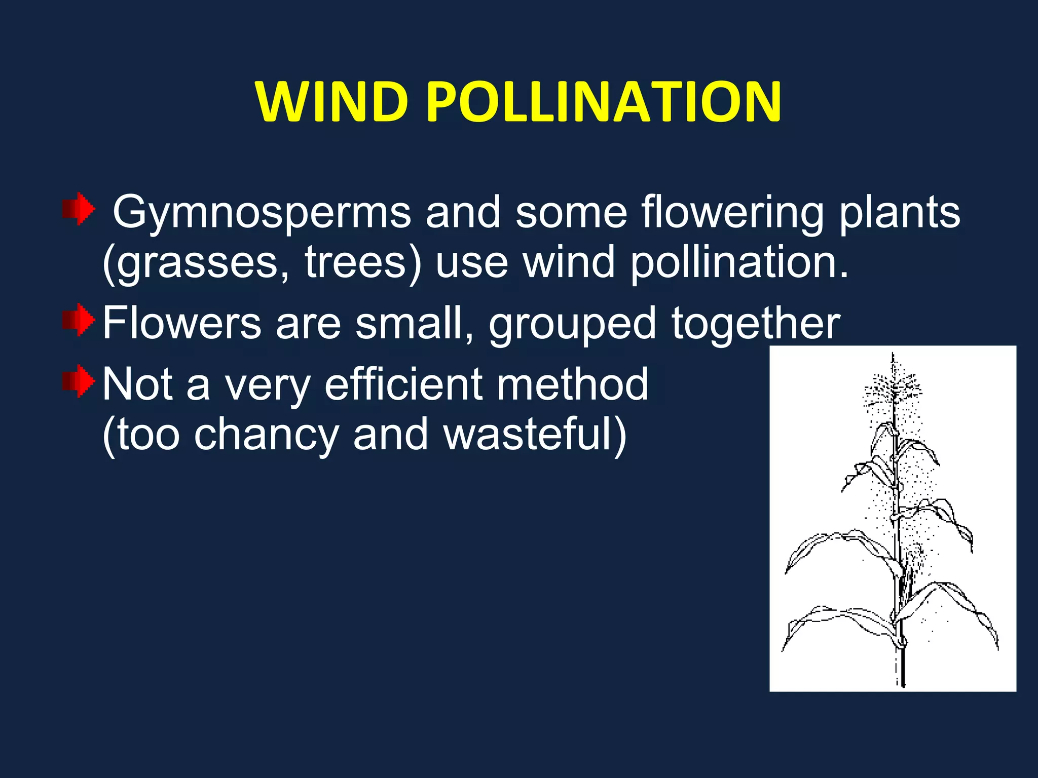 Insect pollinators, their management and role in crop production | PPT