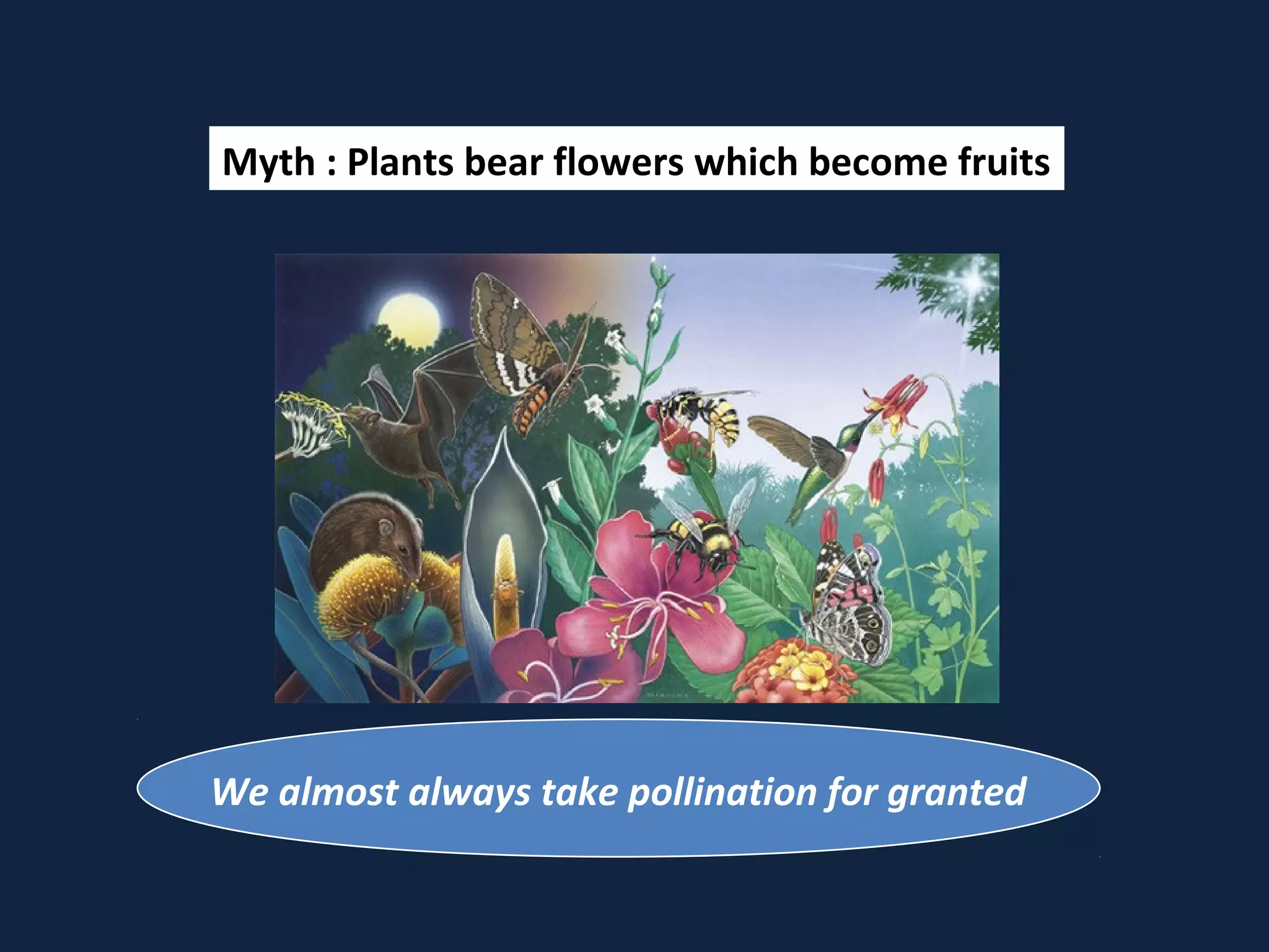 Insect pollinators, their management and role in crop production | PPT