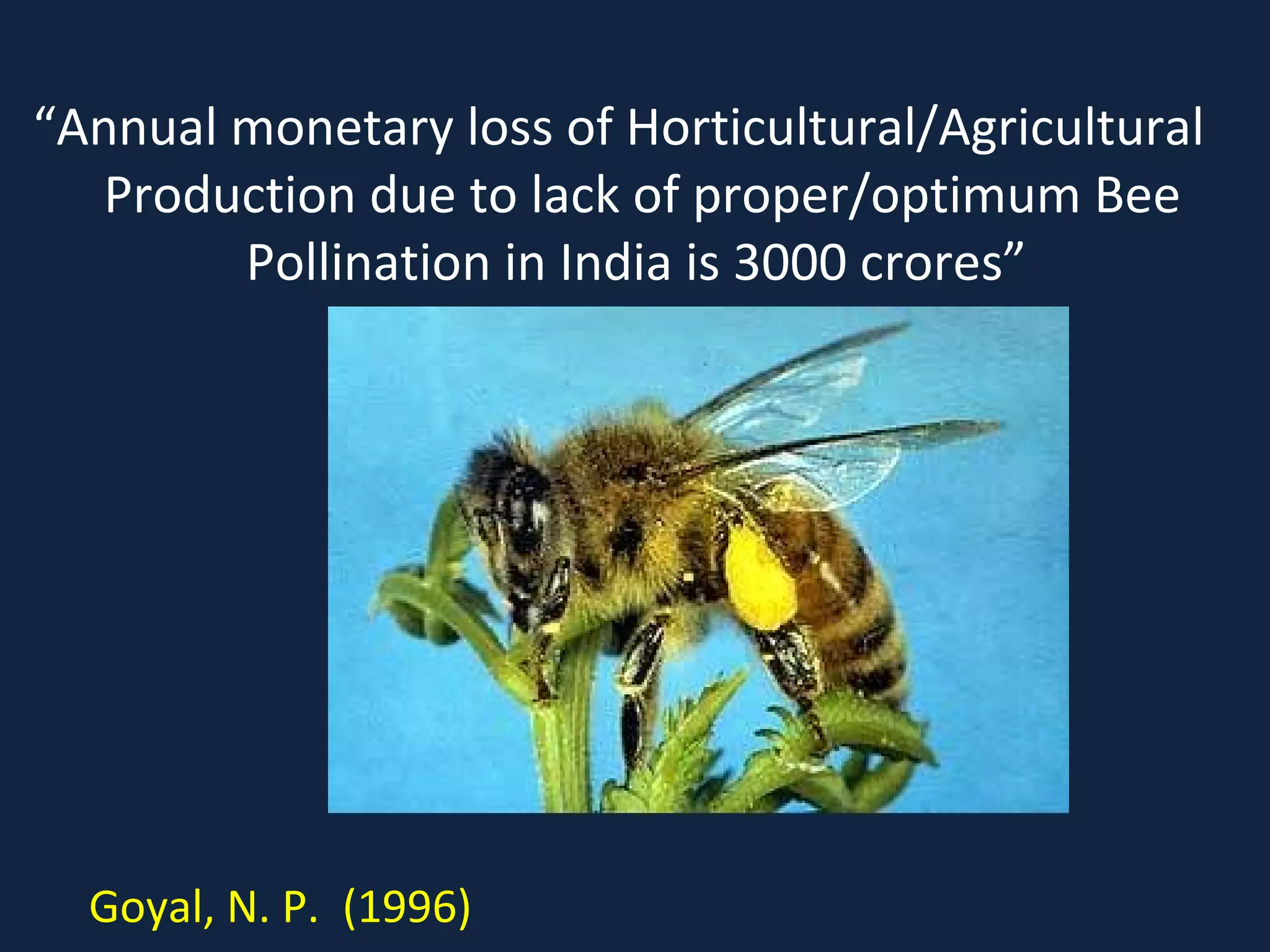 Insect pollinators, their management and role in crop production | PPT