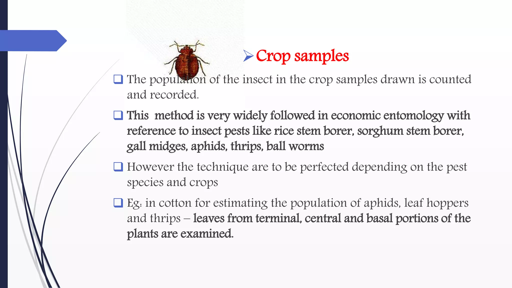 Insect population | PPTX