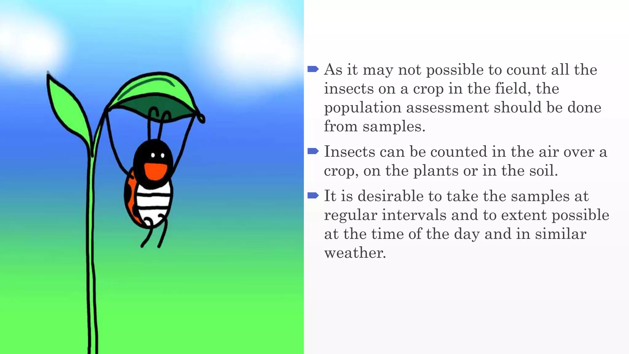 Insect population | PPTX