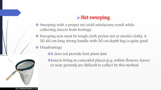 Insect population | PPTX