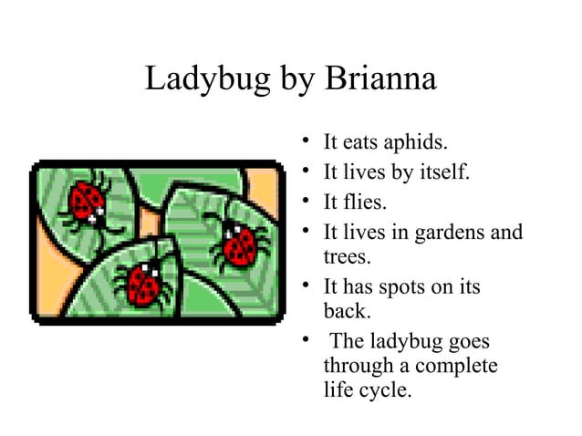 Insect powerpoint presentation | PPT
