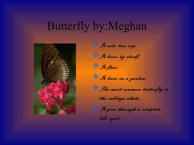 Insect powerpoint presentation | PPT