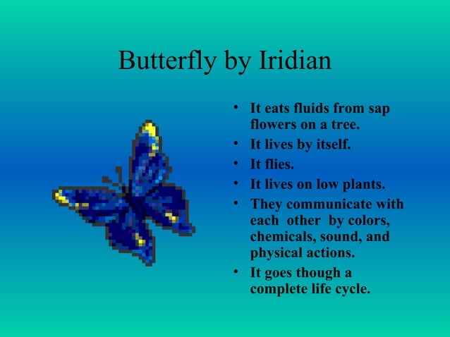 Insect powerpoint presentation | PPT