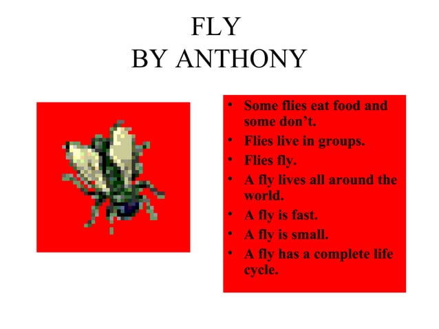 Insect powerpoint presentation | PPT