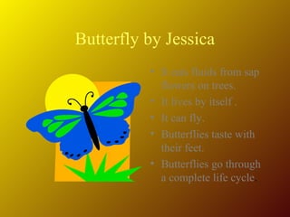 Insect powerpoint presentation | PPT | Biological Sciences | Science