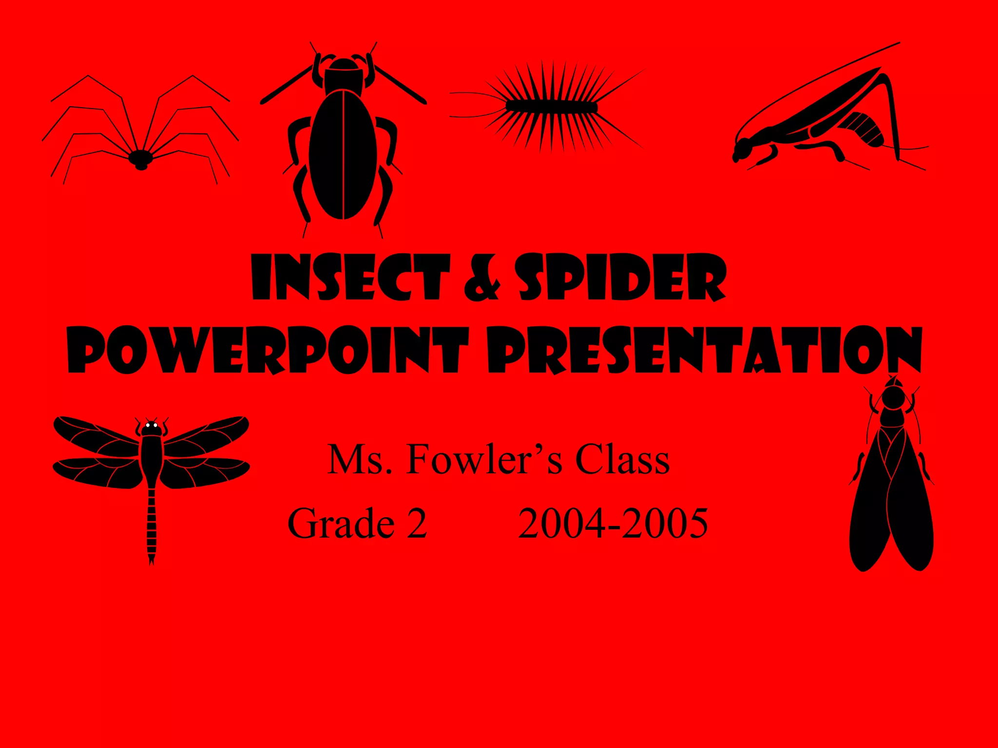 Insect powerpoint presentation | PPT