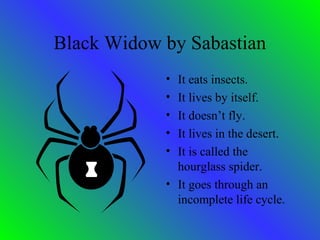 Insect powerpoint presentation | PPT