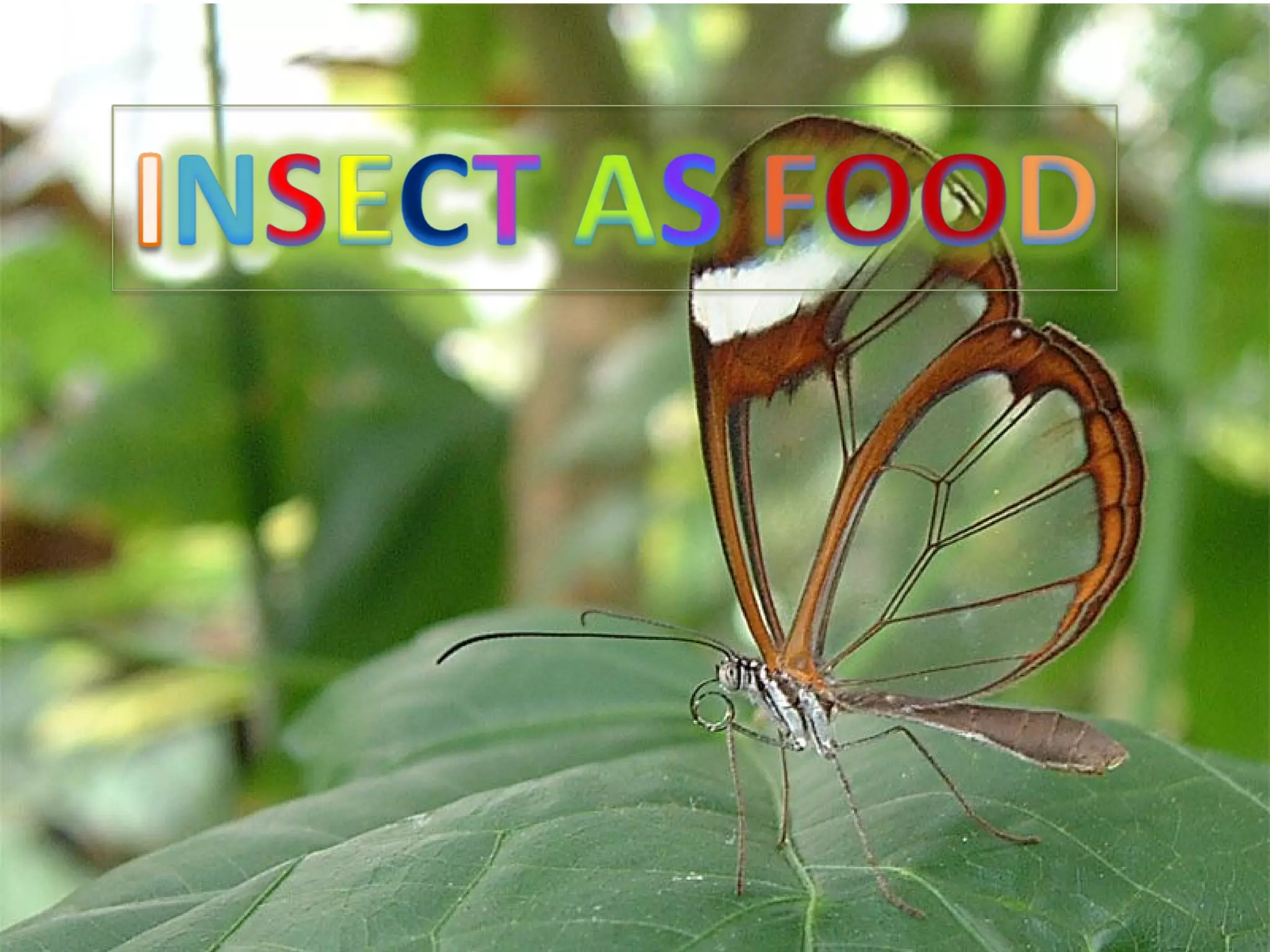 Insect as food | PPT