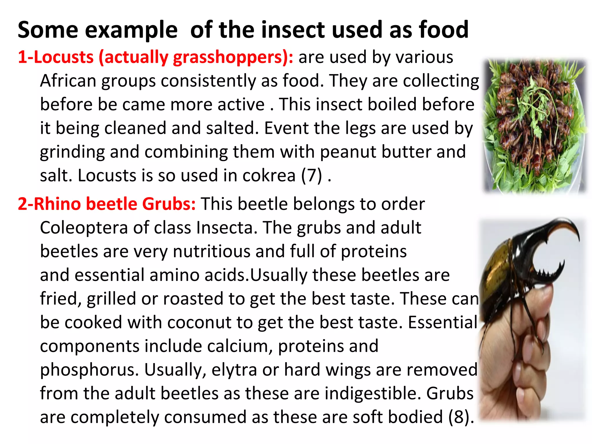 Insect as food | PPT