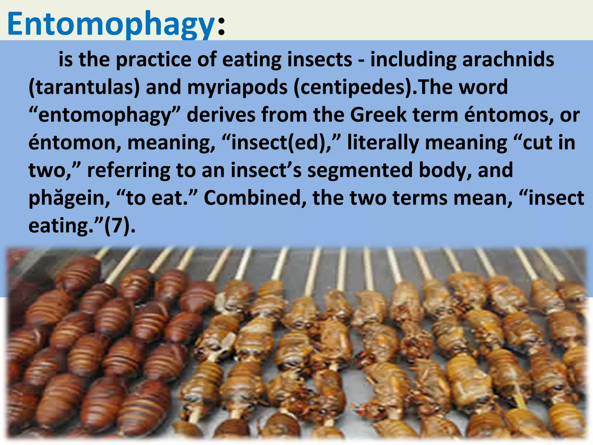 Insect as food | PPT