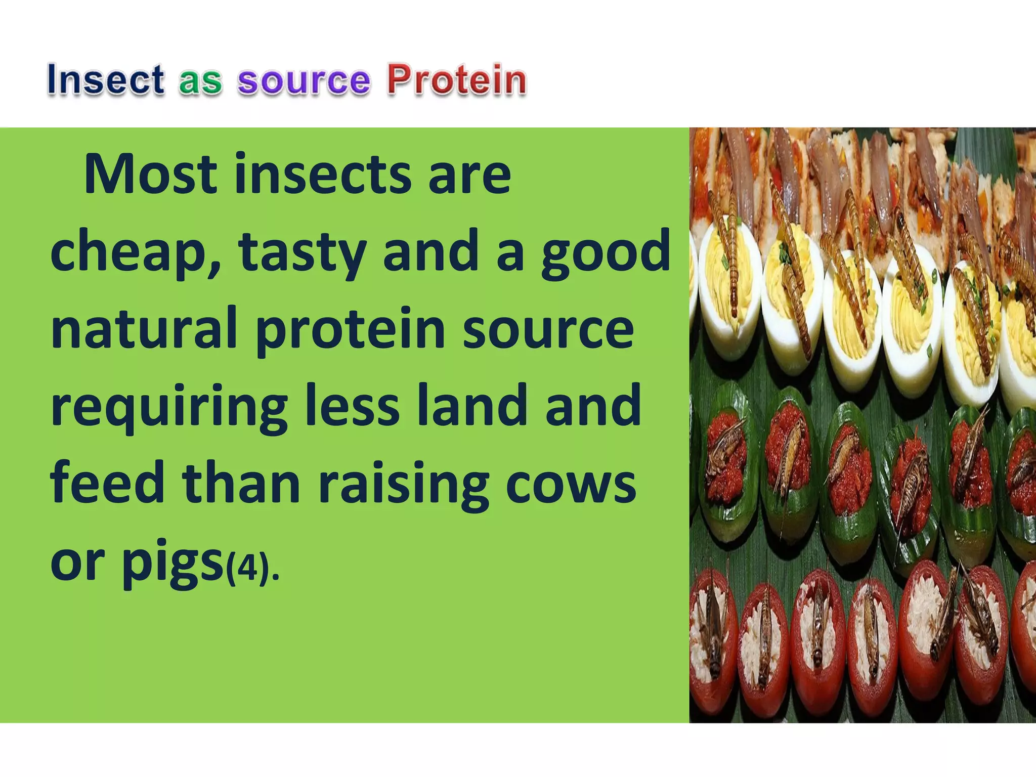 Insect as food | PPT