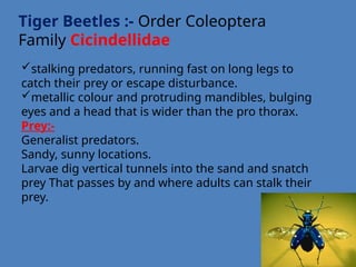 insect predators, the Natural anomies of insect pests | PPTX