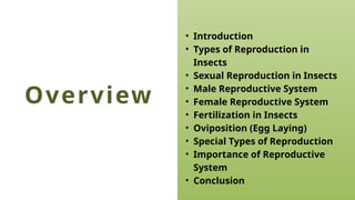 Insect Reproductive System Morphology II.pptx