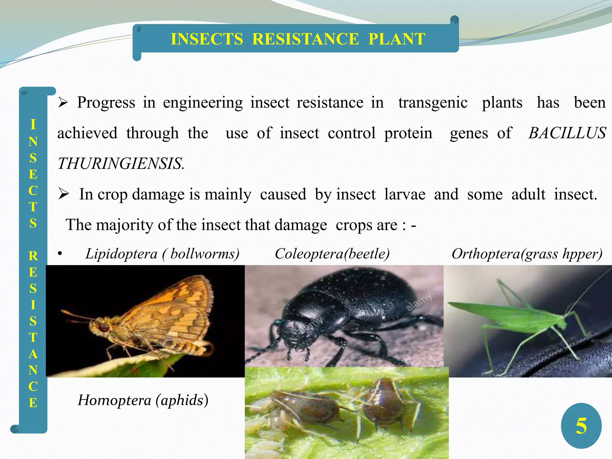 Insect resisance ppt | PPTX