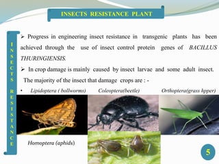 Insect resisance ppt | PPTX