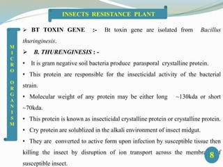 Insect resisance ppt | PPTX