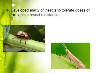 Insect resistance | PPTX | Genetics | Science