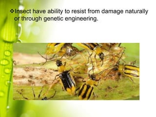 Insect resistance | PPTX