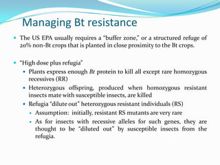 Insect resistance & future of bt transgenic crops | PPTX