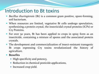 Insect resistance & future of bt transgenic crops | PPTX