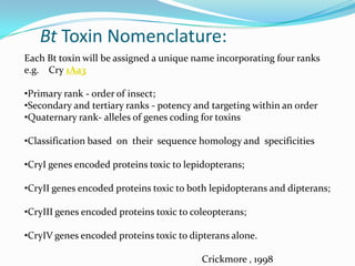 Insect resistance & future of bt transgenic crops | PPTX