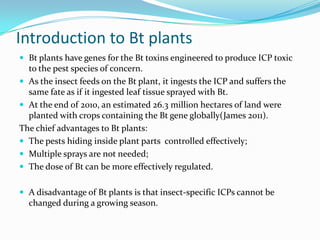 Insect resistance & future of bt transgenic crops | PPTX